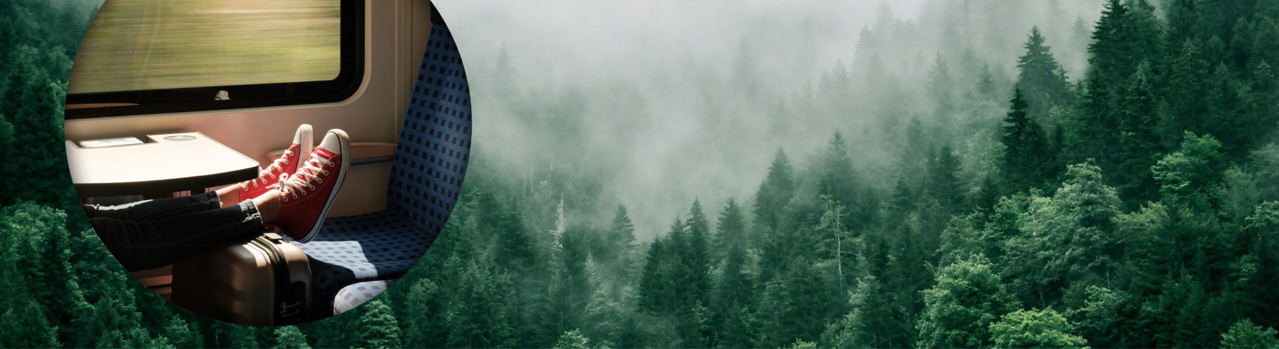 Green Erasmus | Erasmus+ - Nationalagentur Liechtenstein